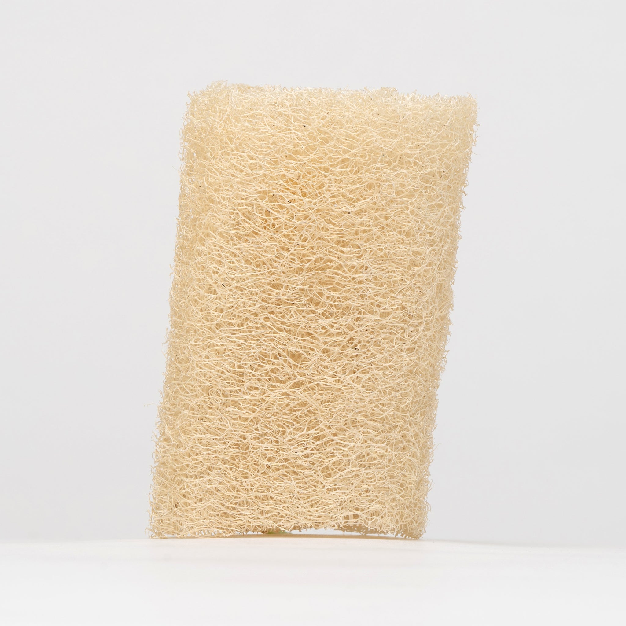 Sustainable Heirloom Mayan Loofah Scrubber for Luxurious Skincare ...